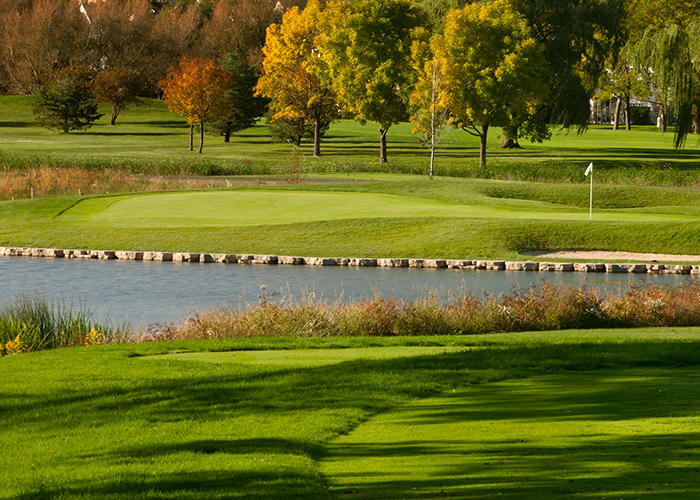 Gallery - Bridges of Poplar Creek